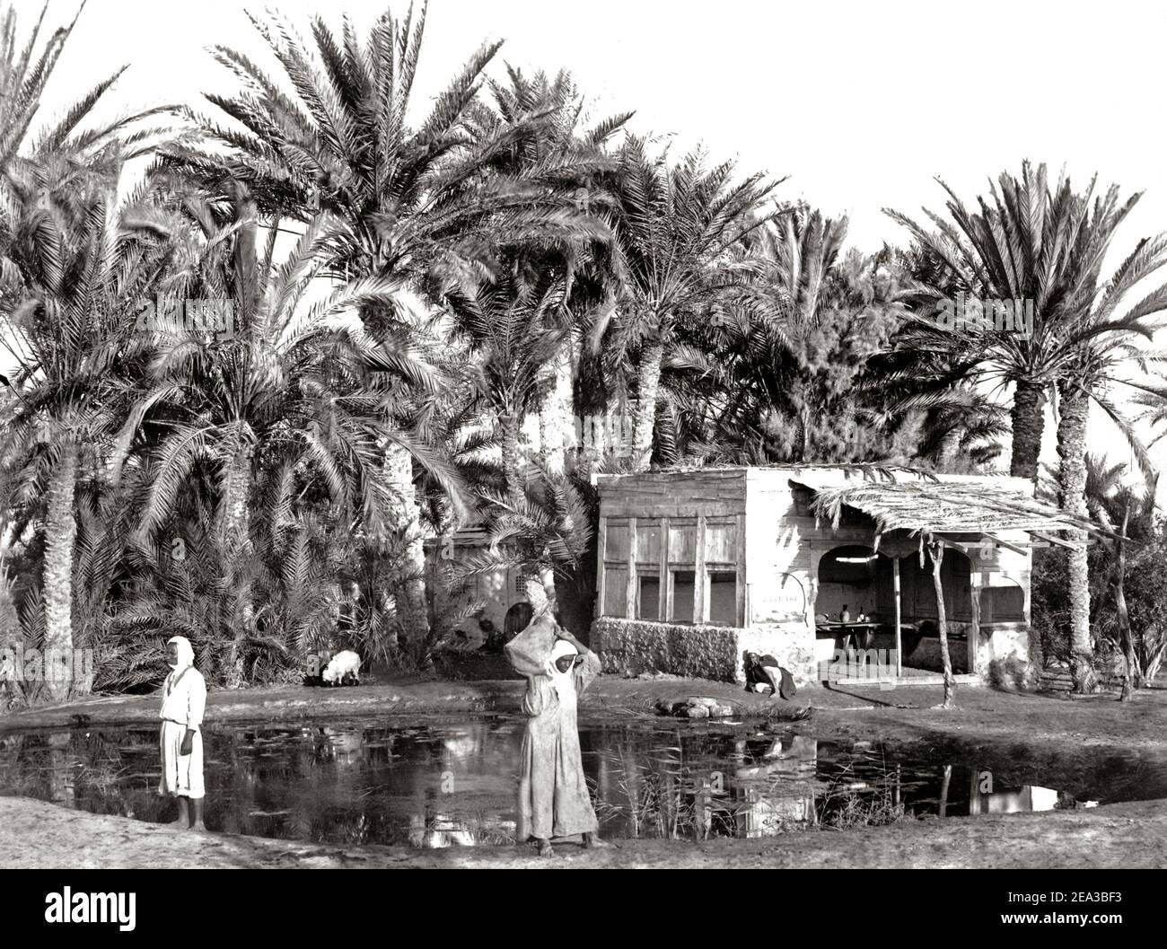 Late 19th century photograph - Well of Moses in the Sinai, c.1880's ...