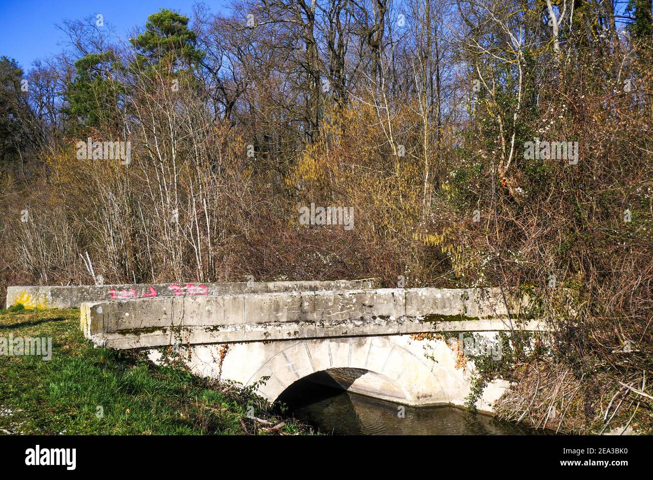 Jonage canal, Rhone, AURA Region, France Stock Photo - Alamy