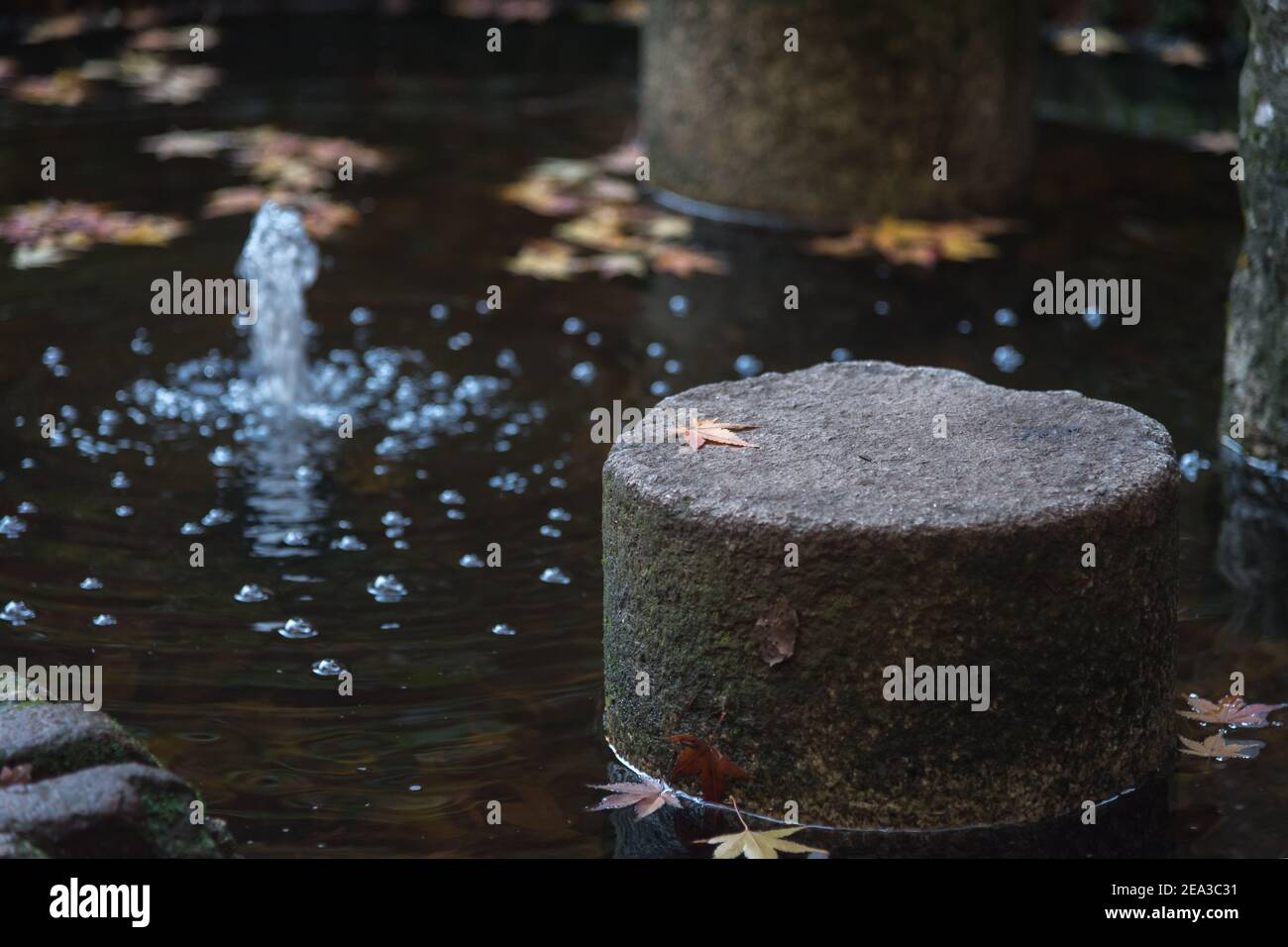 Autumnal leaves on the water of a fountain with a stream in the ...