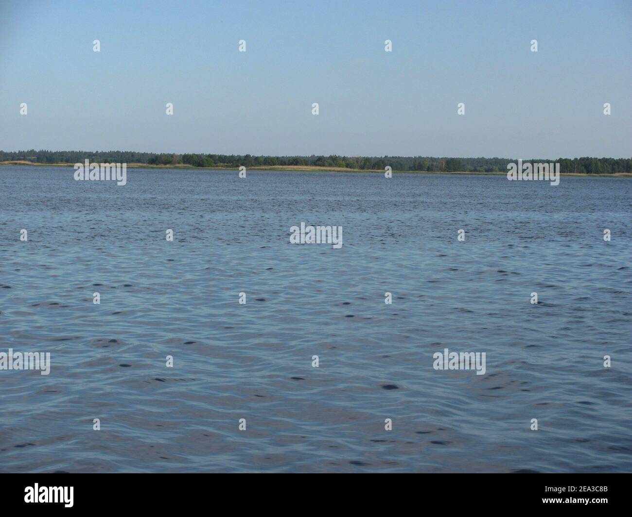 large water area with ripples and forest on the horizon Stock Photo - Alamy