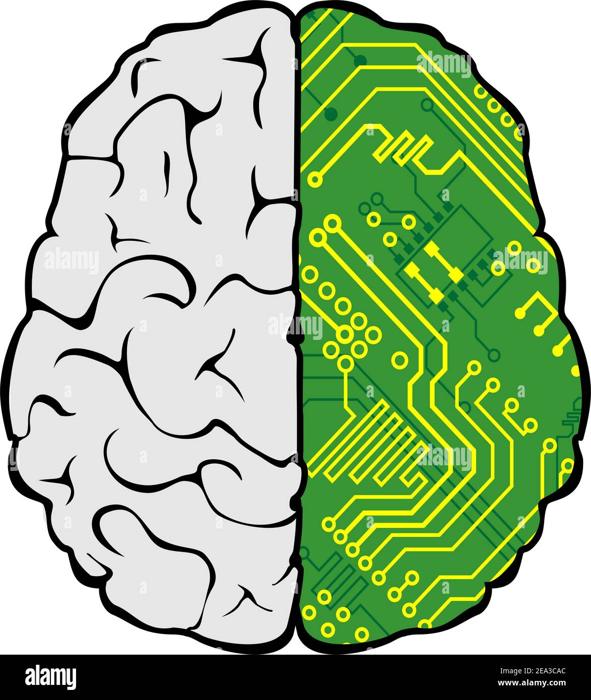 Brain with motherboard as a computer concept Stock Vector Image & Art ...