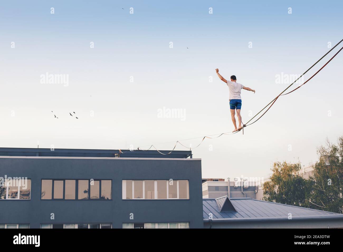 Male athlete demonstrates his skills by balancing on a narrow slackline ...