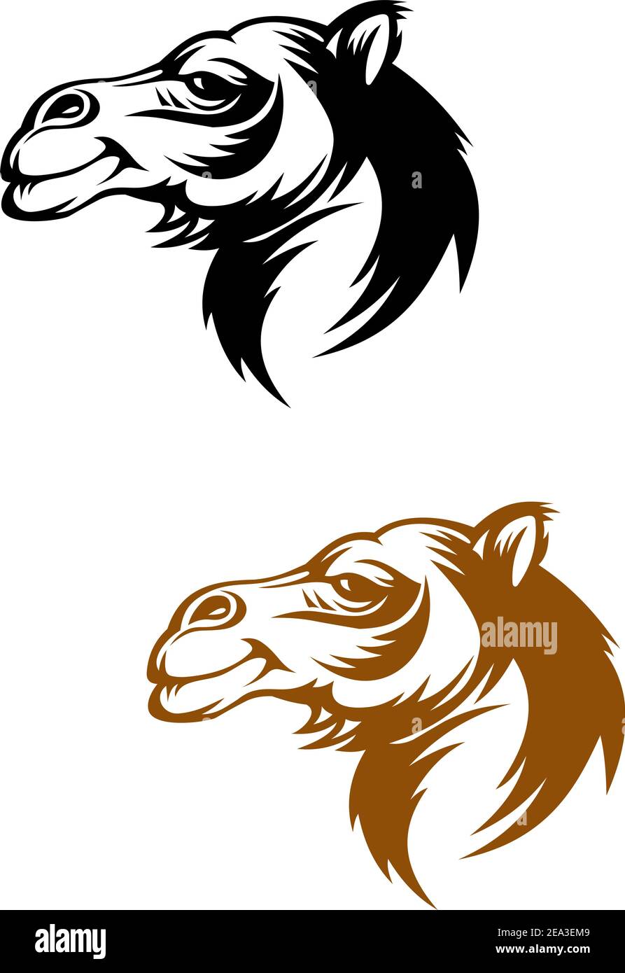 Camel head in cartoon style for mascot or tattoo design Stock Vector ...