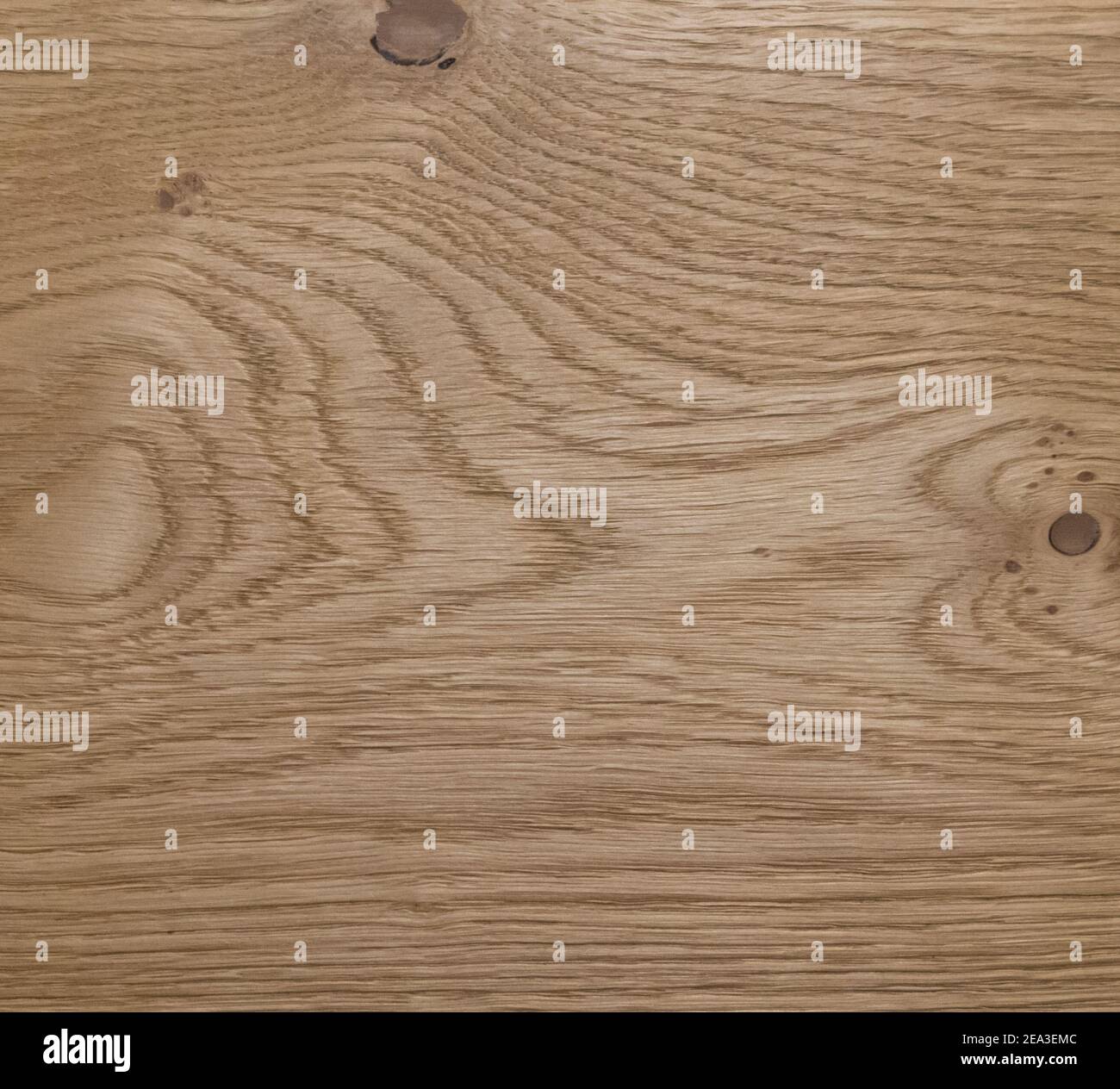 Natural oak wood Stock Photo - Alamy