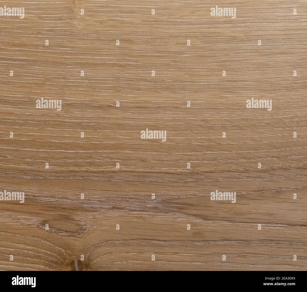 Natural oak wood - bright wood Stock Photo - Alamy