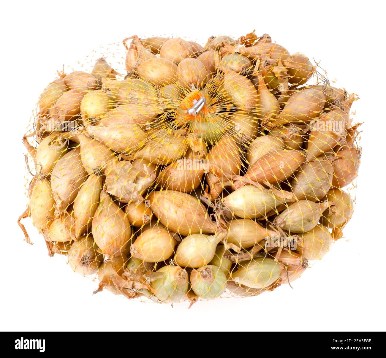 Small yellow onions for planting in ground, growing vegetables. Studio ...