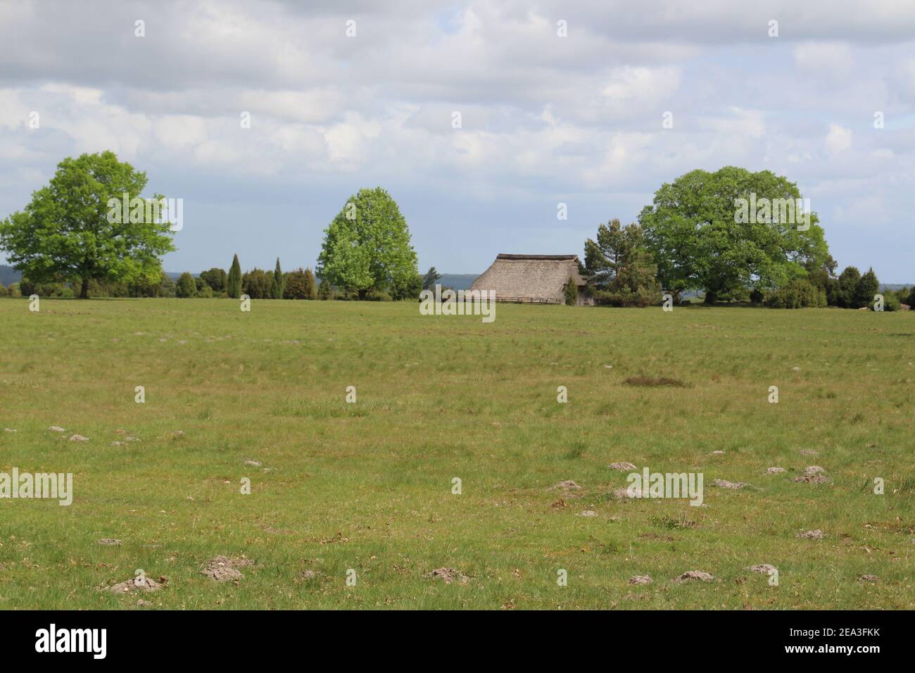 Impressionen aus der Lüneburger Heide Stock Photo - Alamy