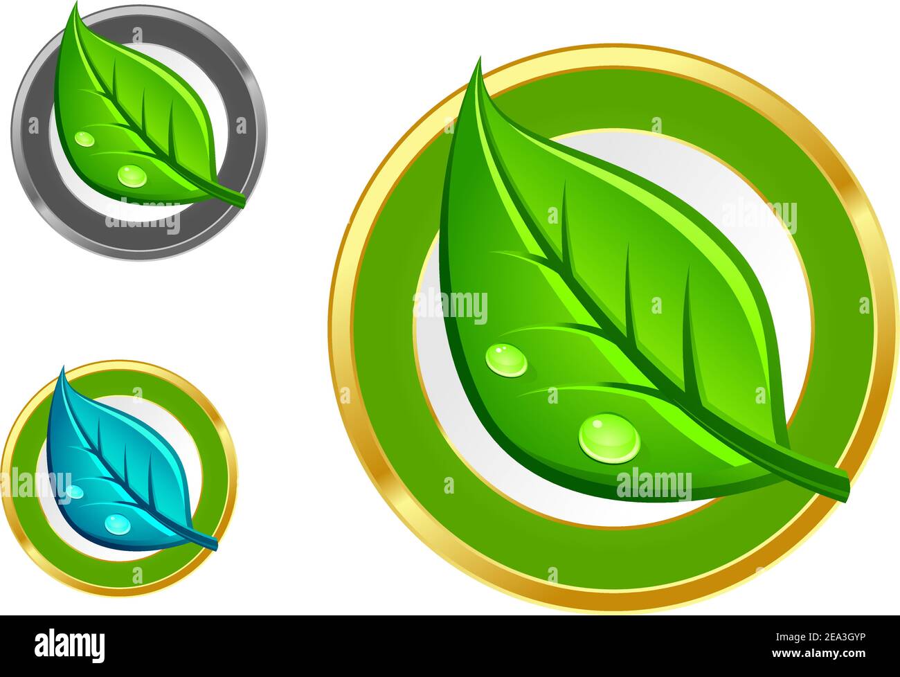 Green leaf emblems and icons set for ecology design Stock Vector Image ...