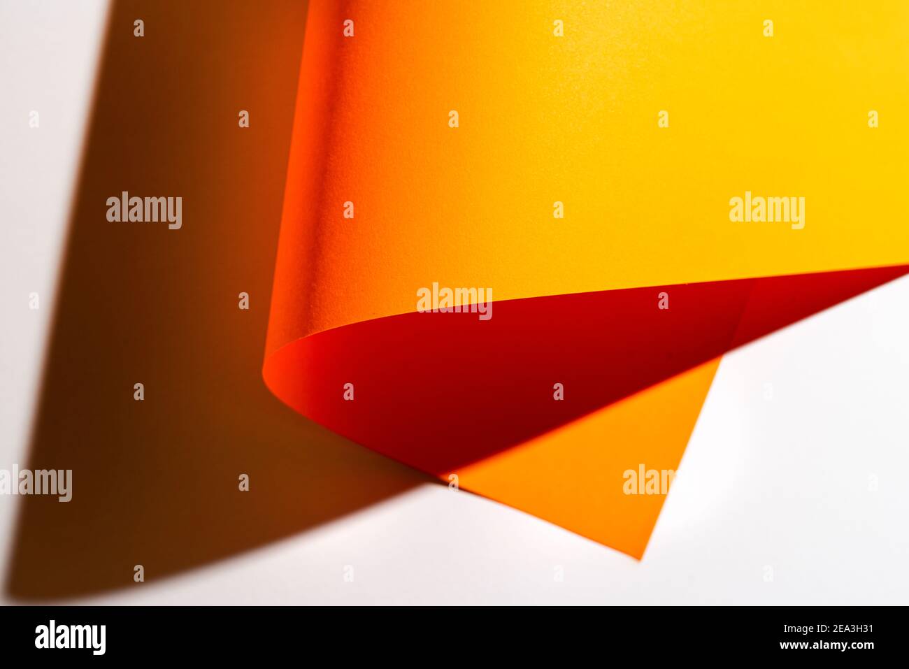 Composition rolled paper sheet hi-res stock photography and images - Alamy