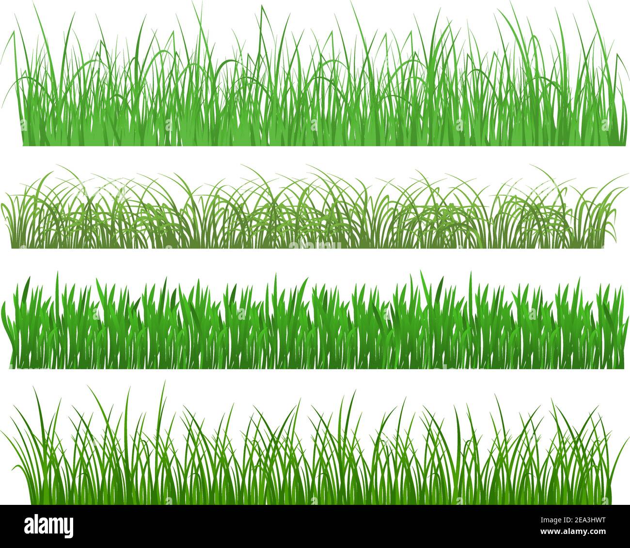 Green grass and plant elements isolated on white background Stock ...