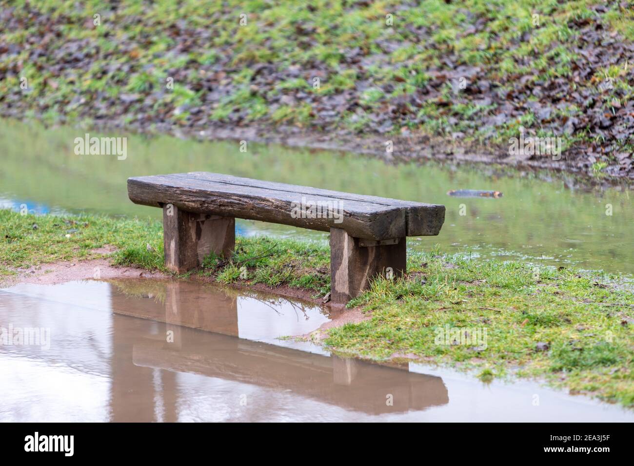 wooden bench in flooded grassland Stock Photo - Alamy
