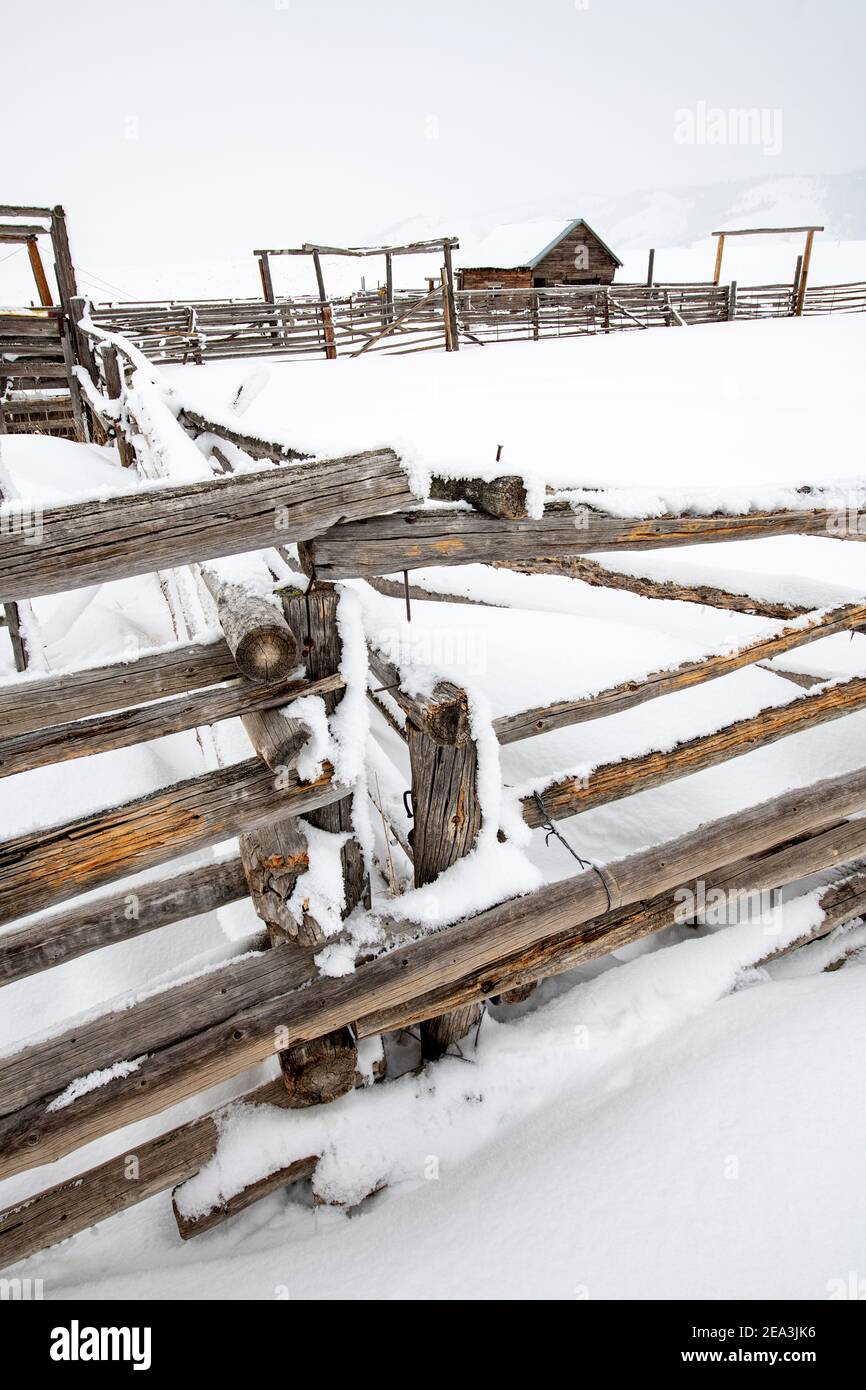 Farmers cattle corral in winter with snow Stock Photo - Alamy