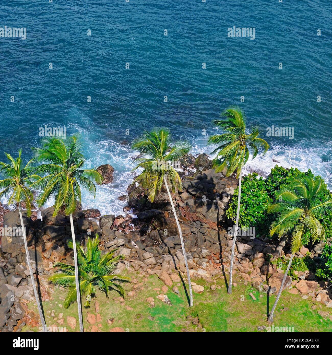 Beach tropical ocean with coral, palm trees and lagoon. View from above ...