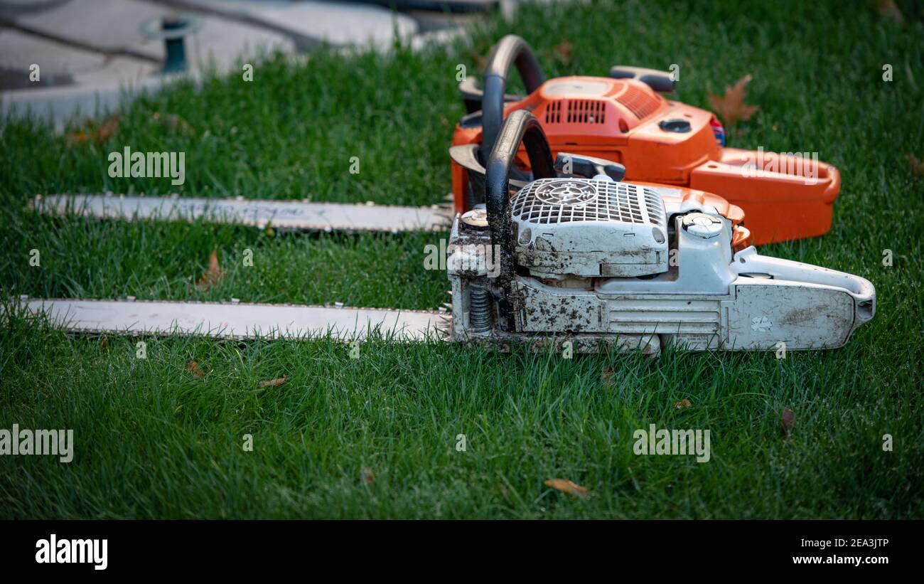 Woodsman’s saws lay in grass waiting for use Stock Photo - Alamy
