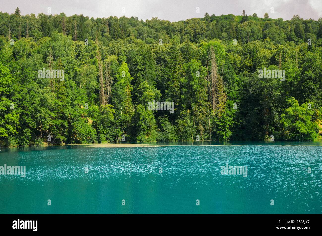 Calm blue lake and emerald green forest. Nature destinations Stock ...
