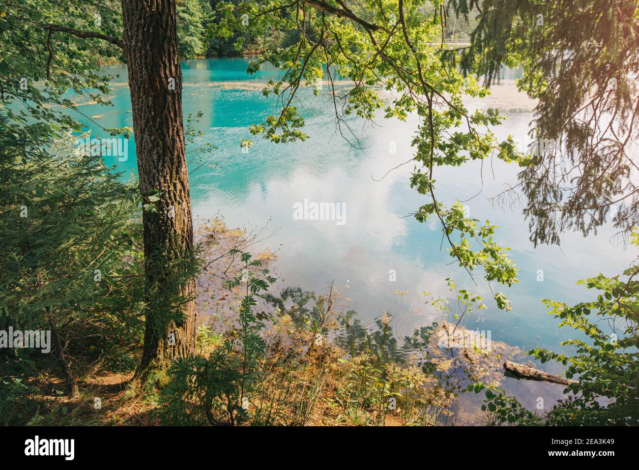 Bank of a calm blue lake and emerald green forest. Nature destinations ...