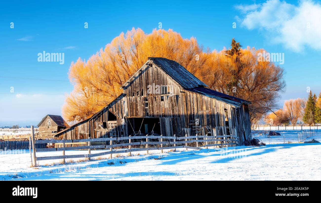 Classic barn hi-res stock photography and images - Alamy