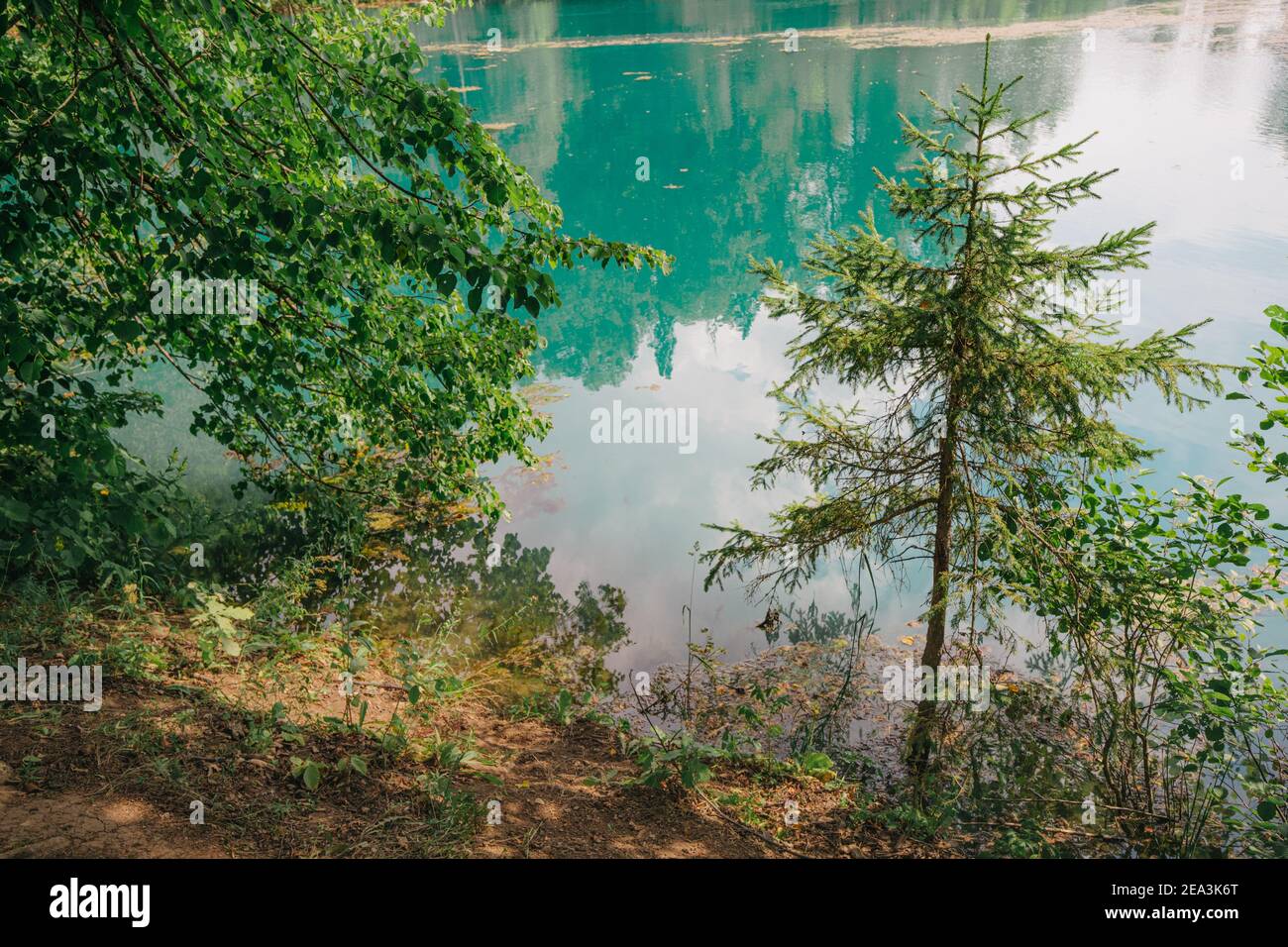 Bank of a calm blue lake and emerald green forest. Nature destinations ...