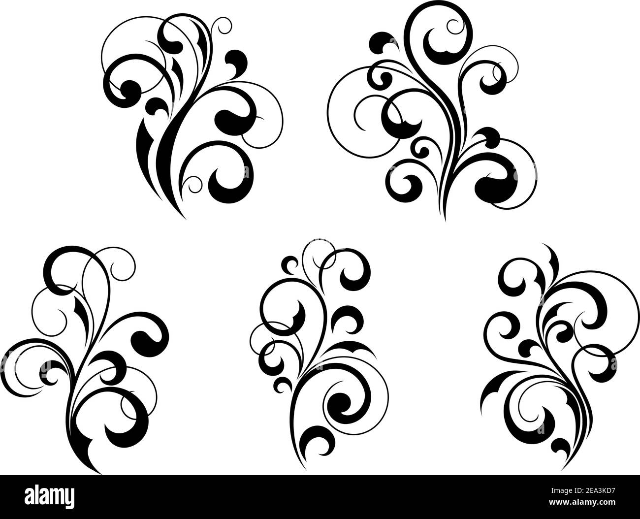 Set of beautiful floral elements and motifs isolated on white ...