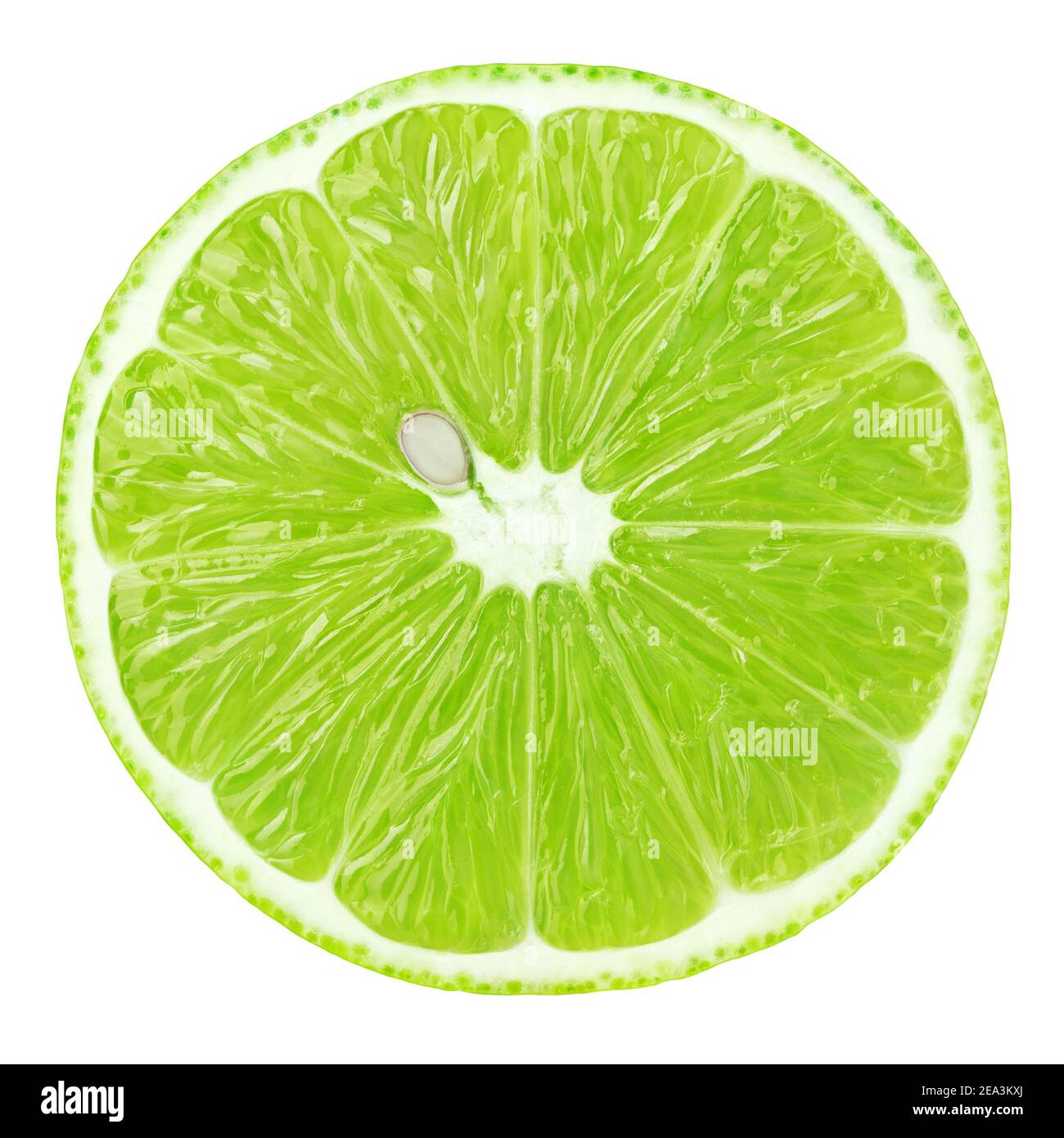 Top view of green slice lime citrus fruit isolated on white background ...