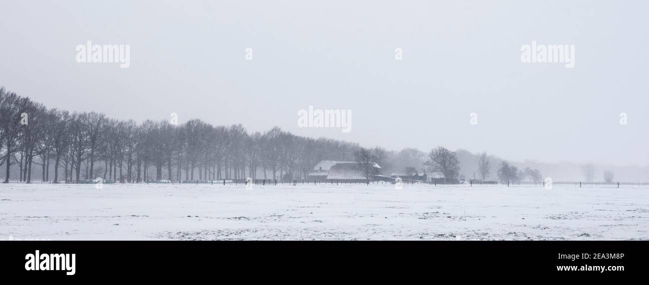 farm and snow covered meadows in the netherlands near utrecht Stock ...