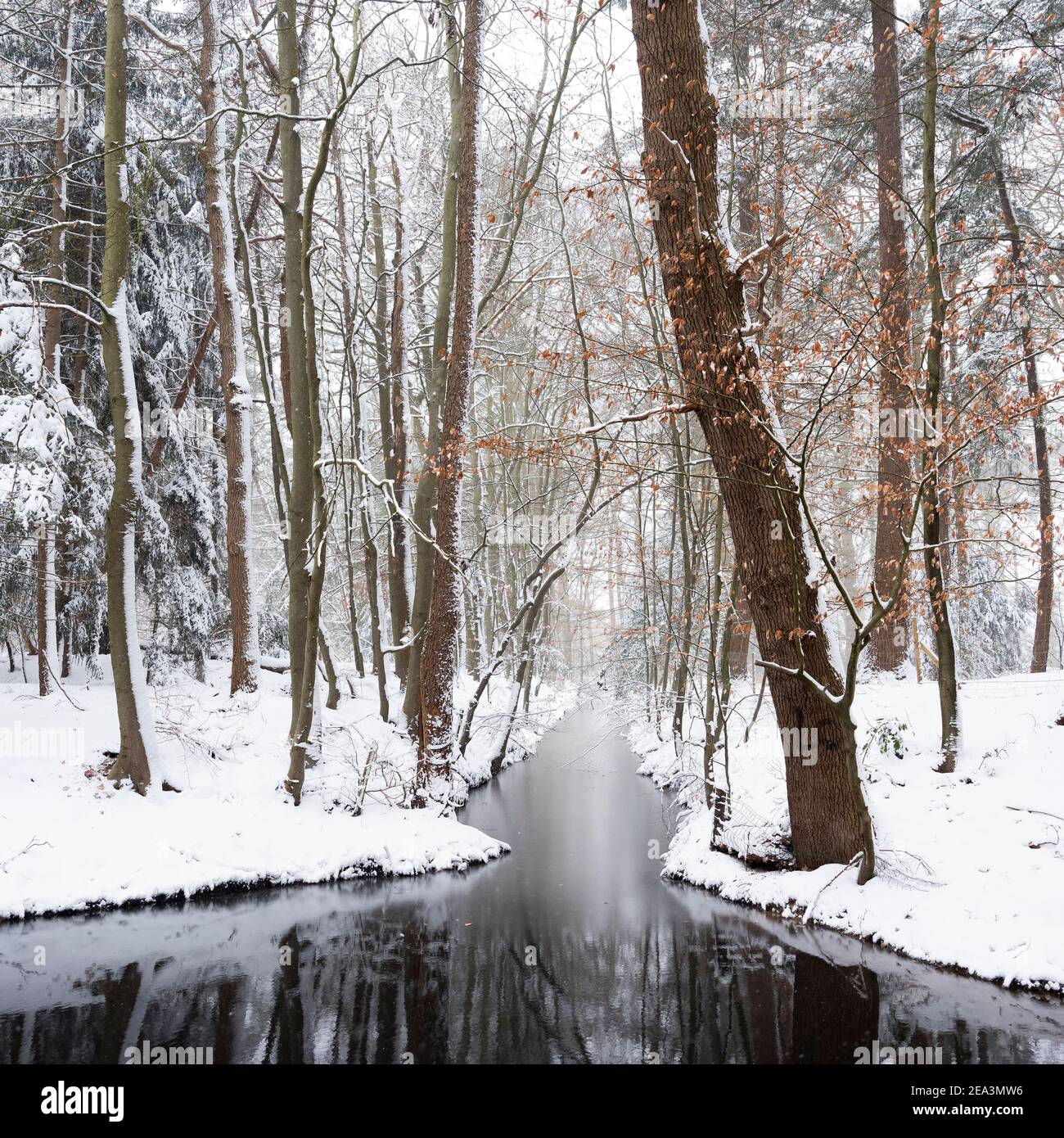 Snow covered rural landscape near water hi-res stock photography and ...