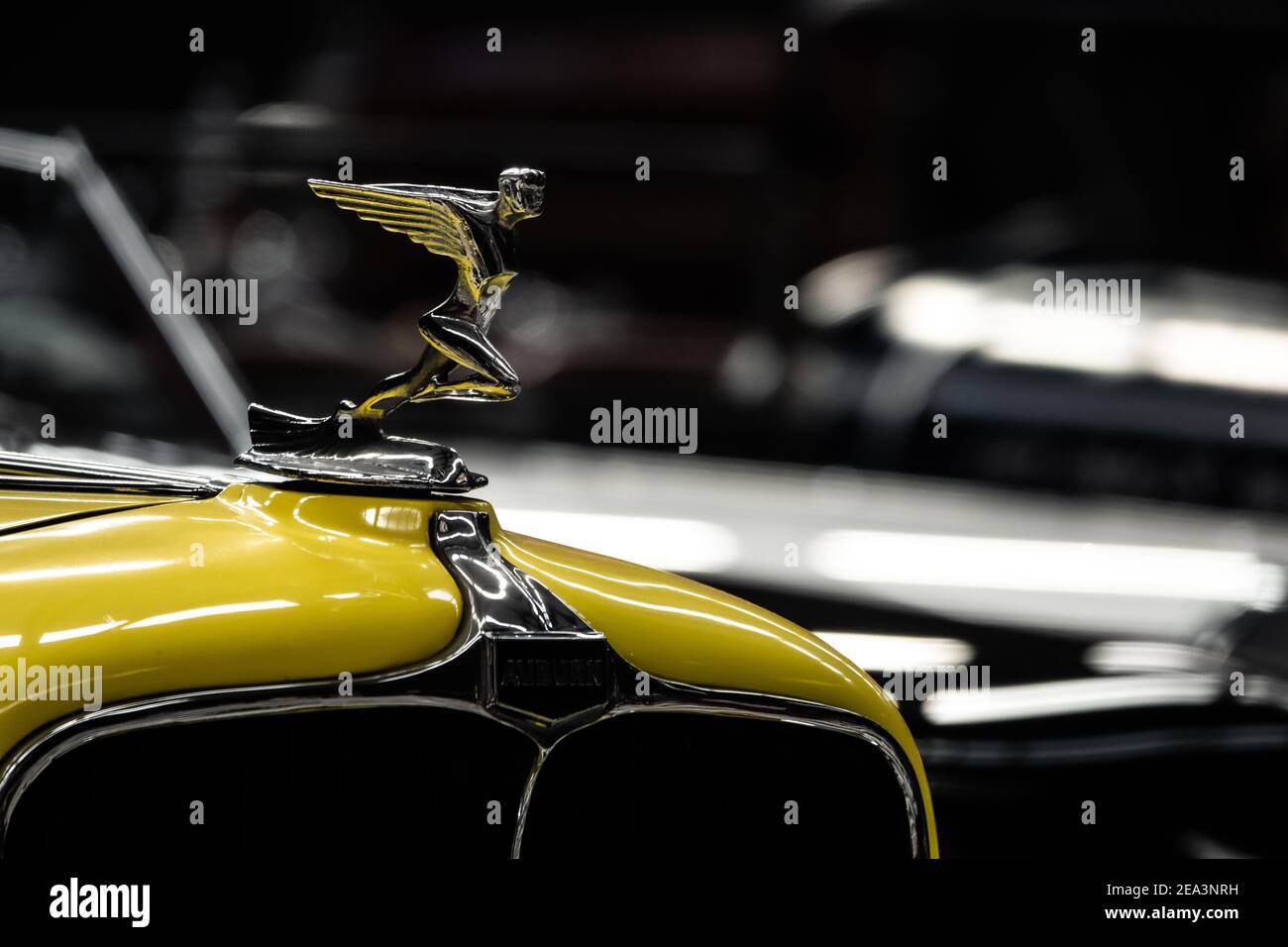 Car logo logos transport hi-res stock photography and images - Alamy