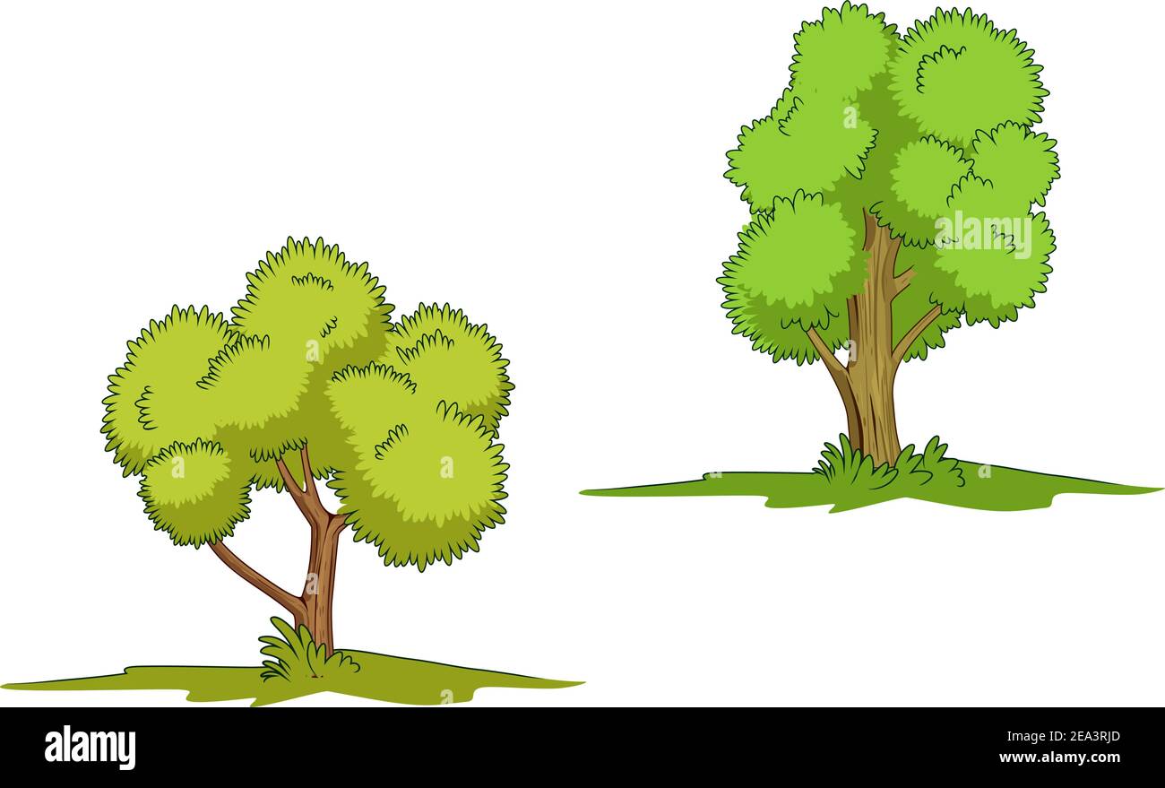 Green trees with grass isolated on white background Stock Vector Image ...