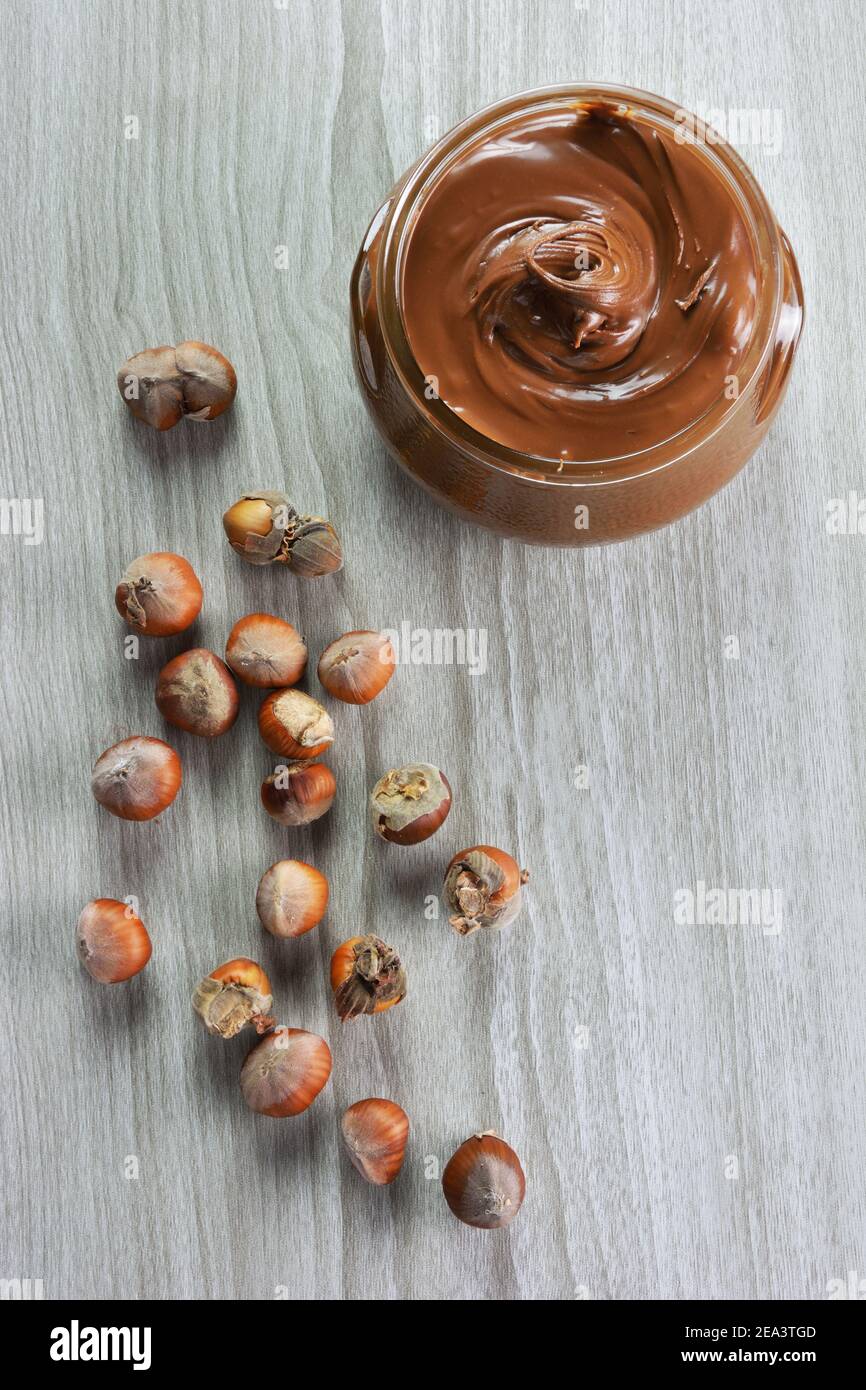 Hazelnuts and vase with hazelnut praline paste on grey table Stock ...