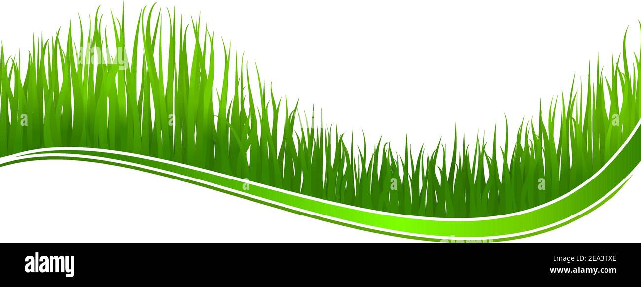 Green grass wave for spring or nature design Stock Vector Image & Art ...