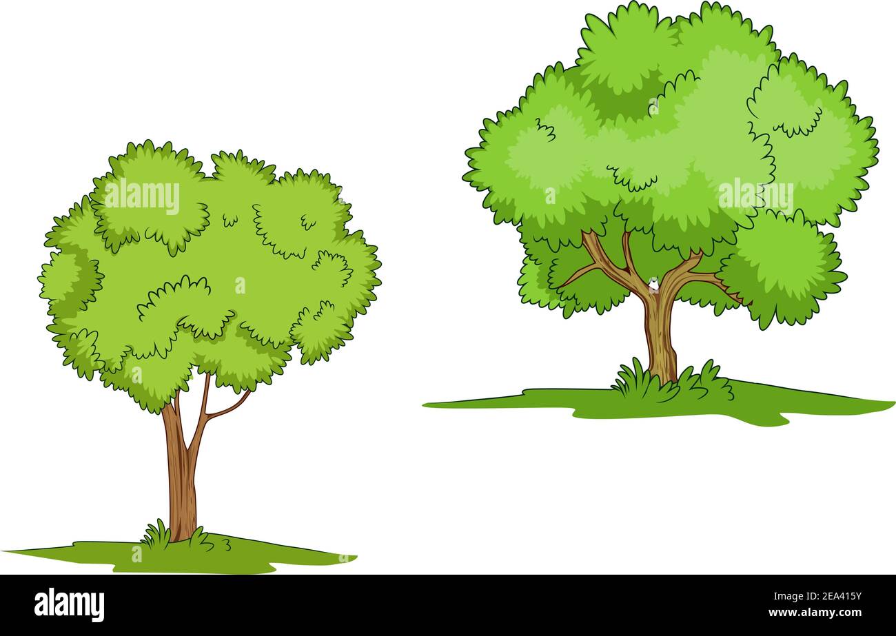 Green trees with grass isolated on white background Stock Vector Image ...