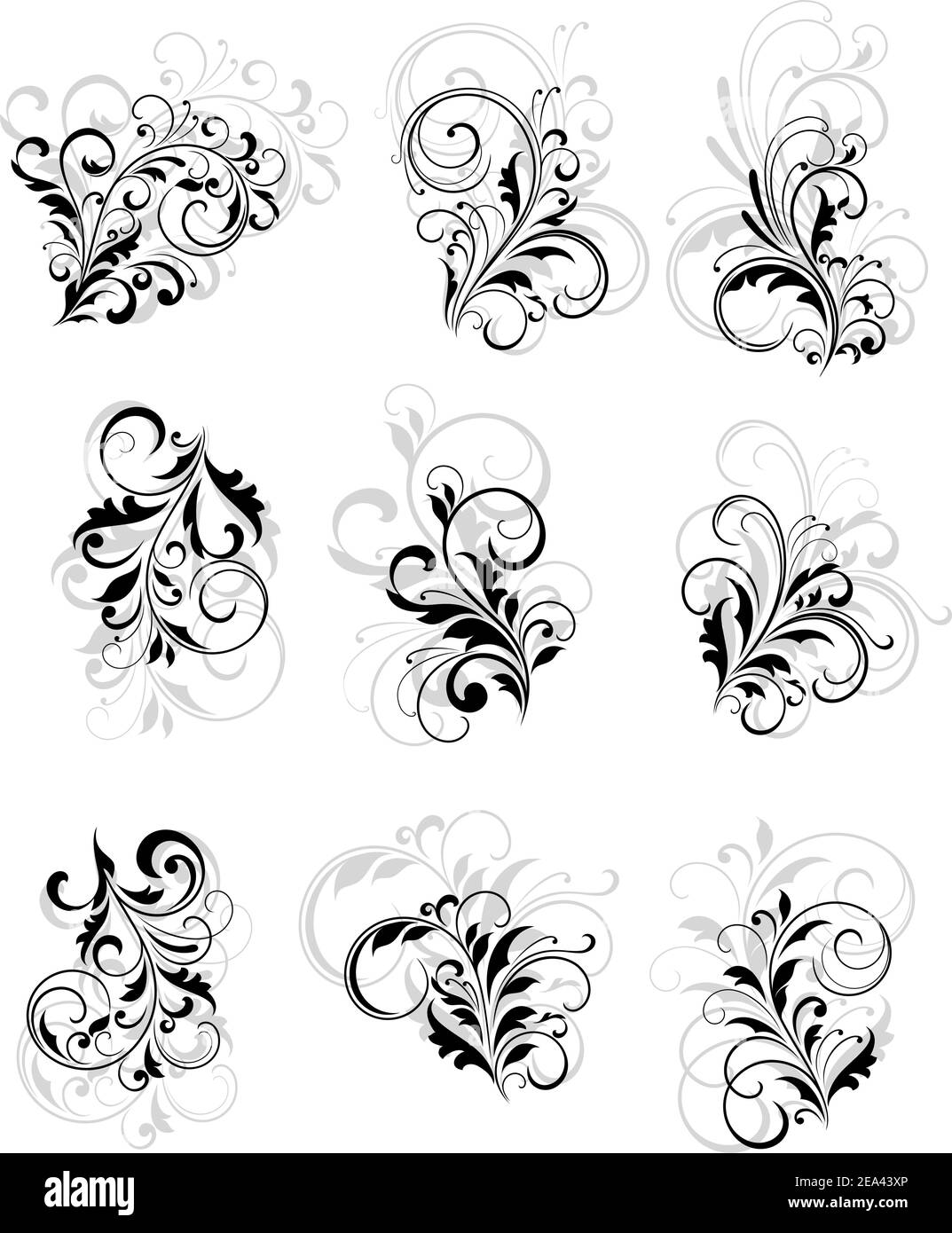Flourish elements Stock Vector Images - Alamy