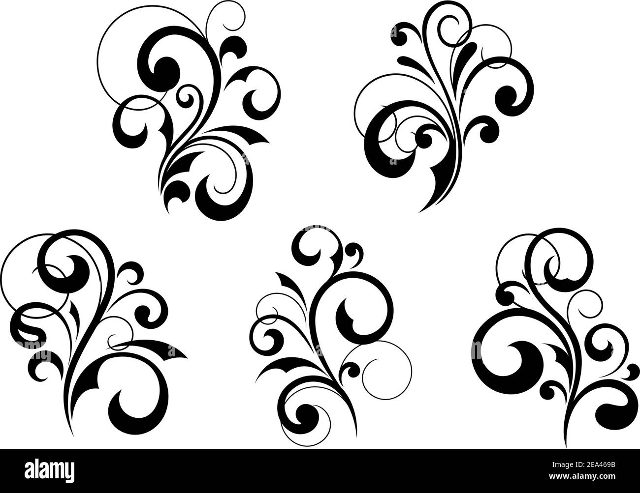 Set of vintage floral elements and patterns Stock Vector Image & Art ...