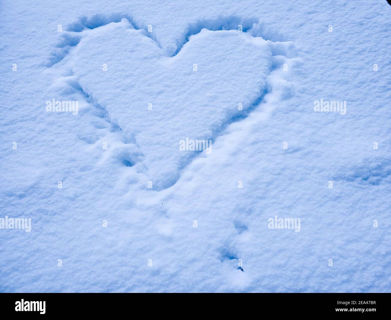 Snow Heart In Hand