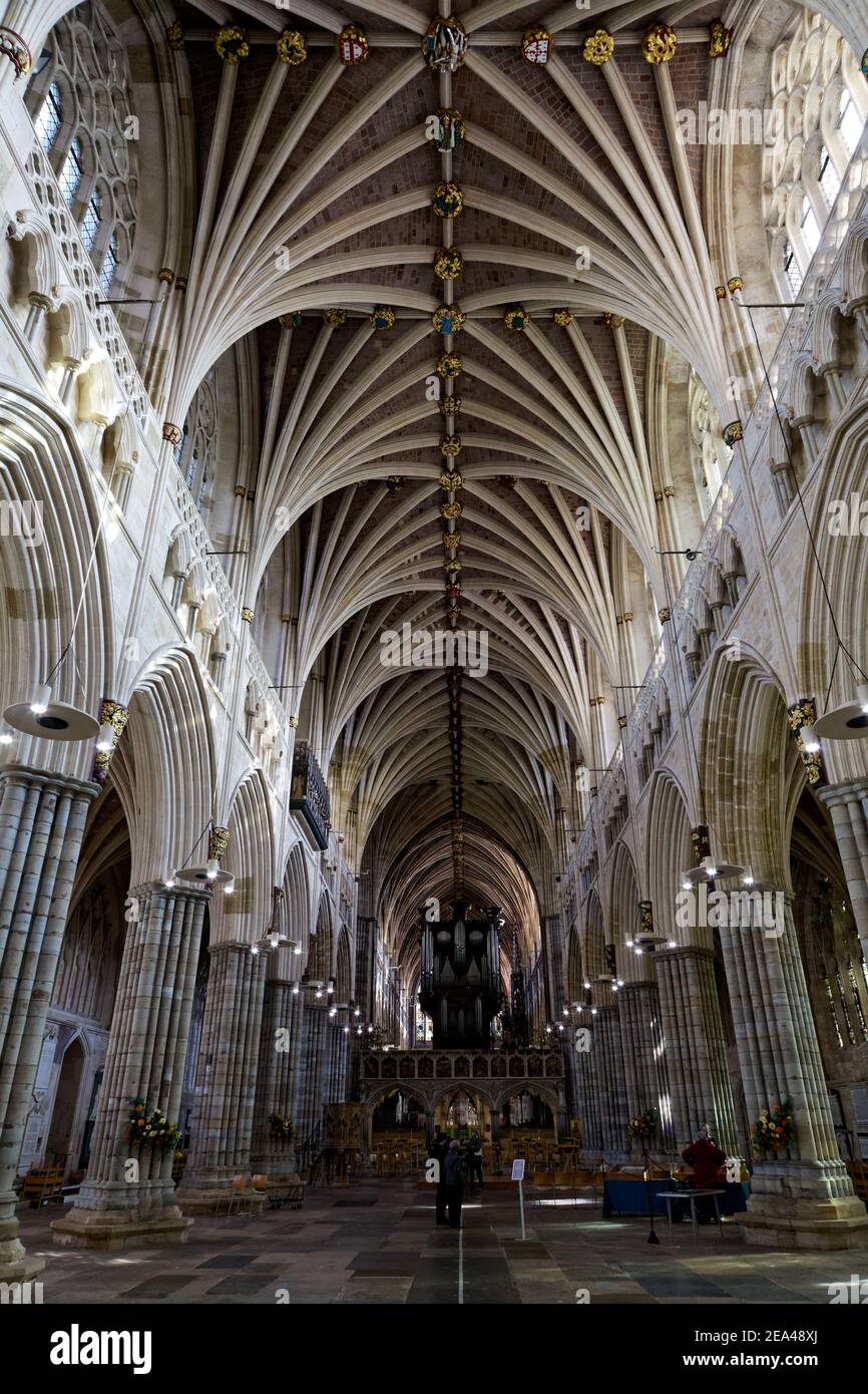 Exeter Cathedral, Exeter, Devon, England – the vaulted roof Stock Photo ...