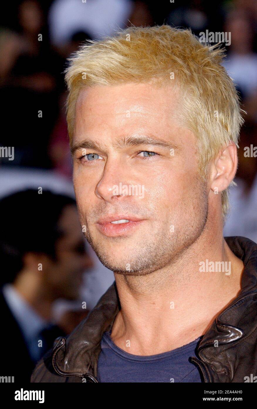 U.S. actor Brad Pitt poses as he arrives at the world premiere of 'Mr ...