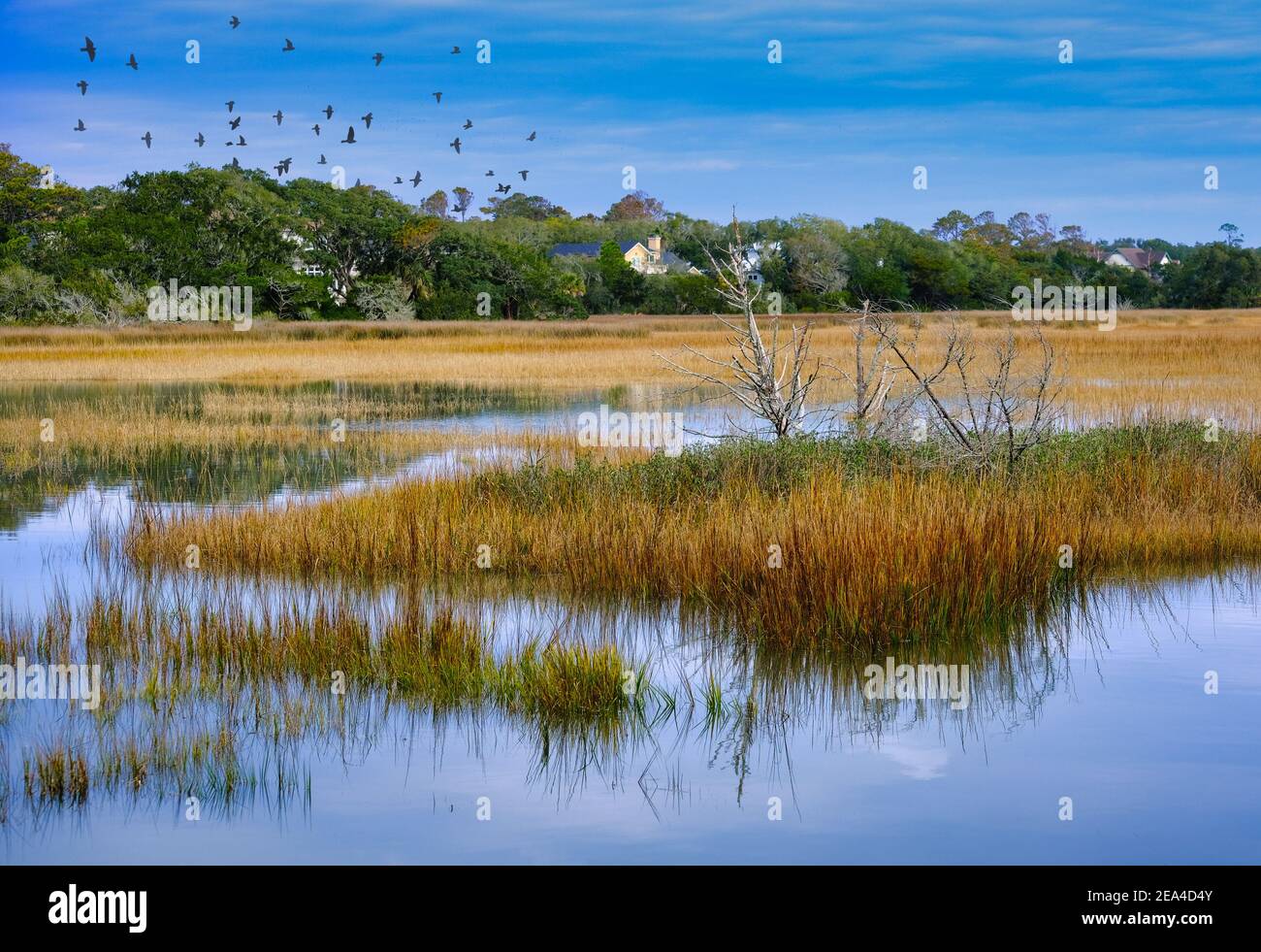 Salt Water Marsh at High Tide Stock Photo - Alamy
