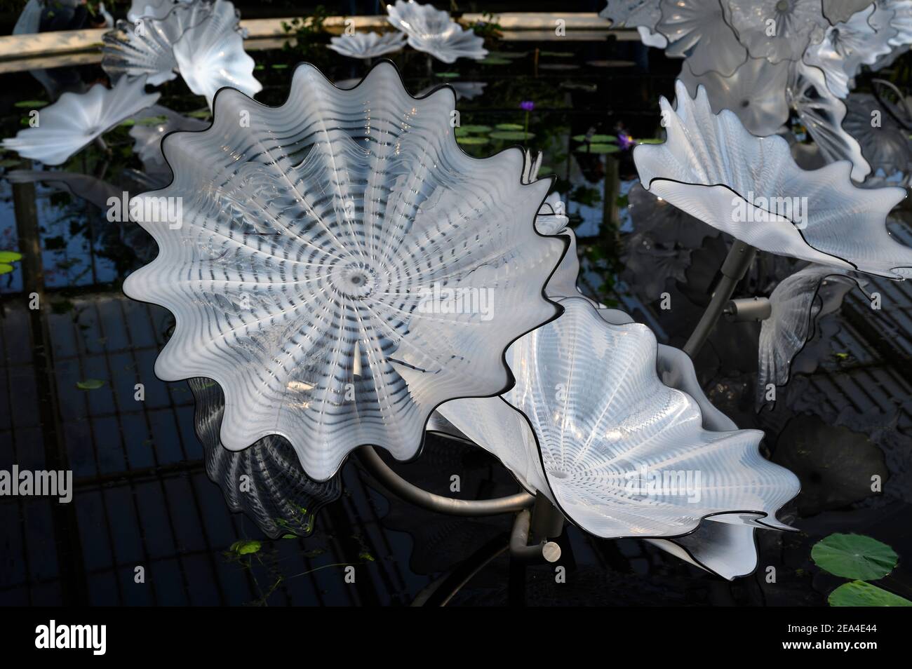 Chihuly: Reflections on Nature Stock Photo - Alamy