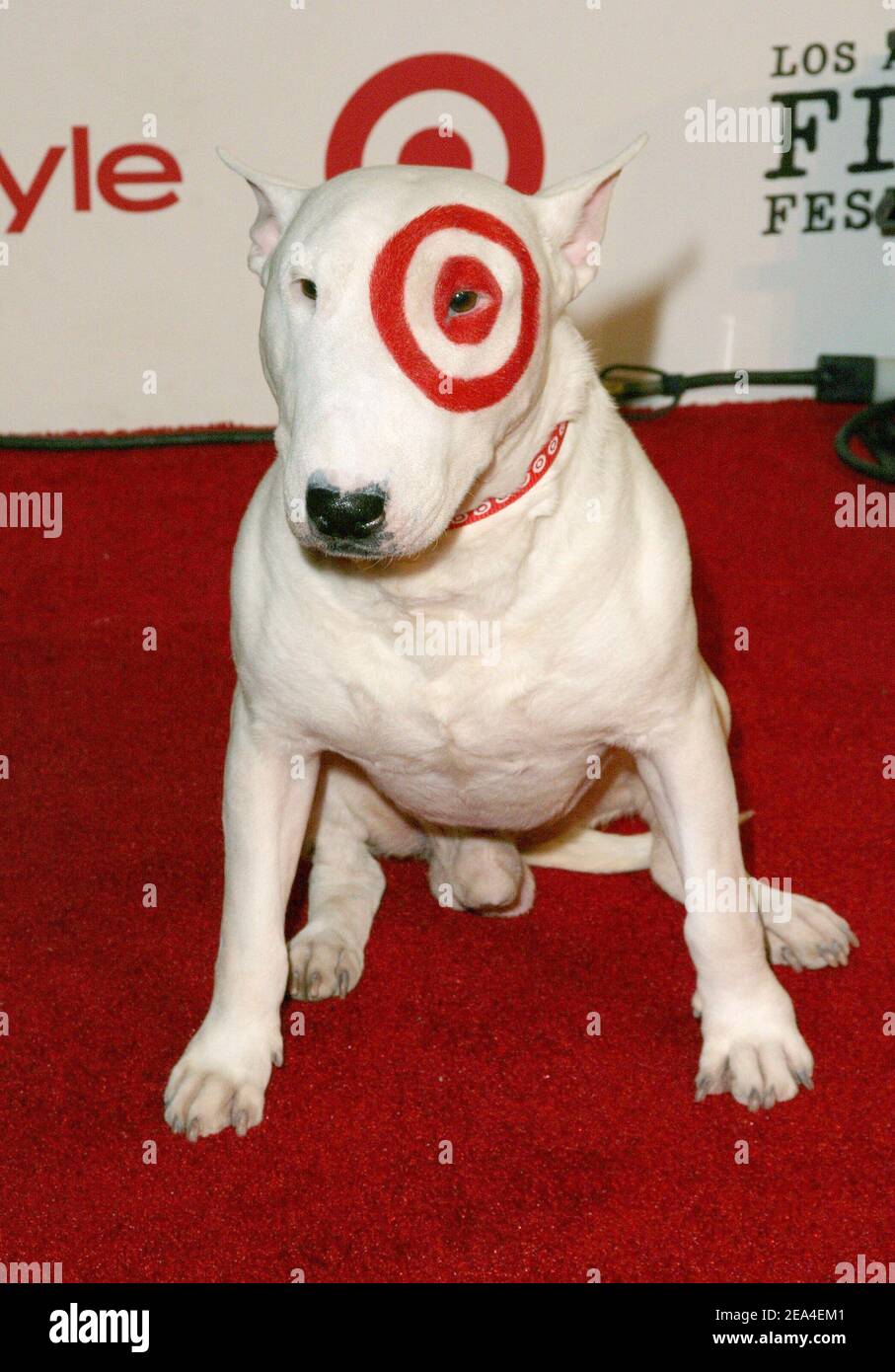 What Happened To The Target Dog
