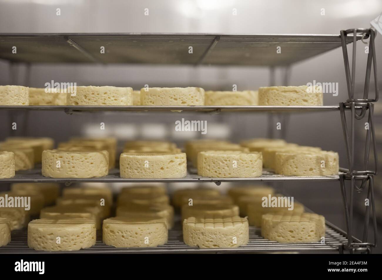 Milk pasteurization machine hi-res stock photography and images - Alamy