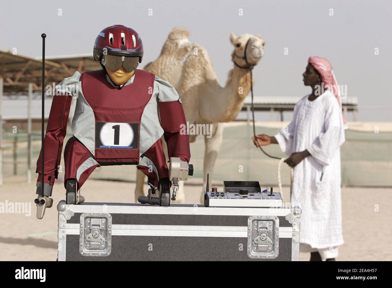 Camel jockey qatar child hi-res stock photography and images - Alamy