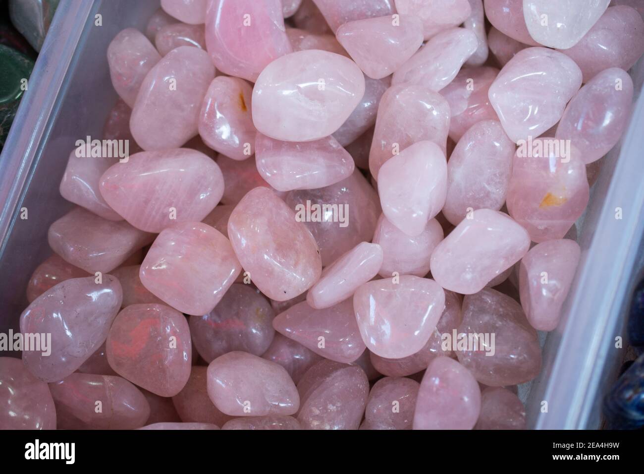 tumbled Rose Quartz gem stone as mineral rock specimen Stock Photo - Alamy