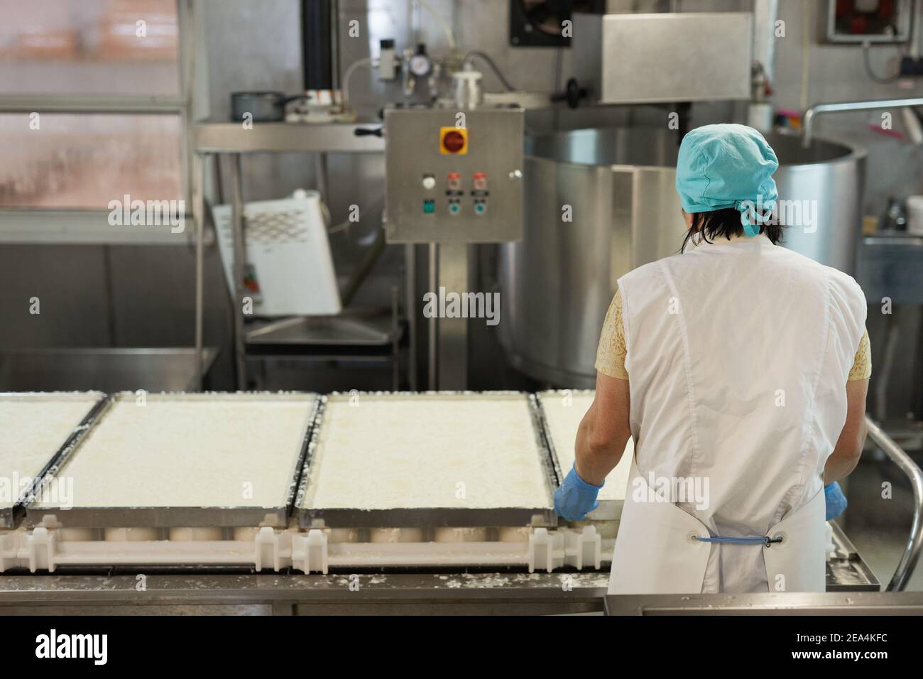Back view portrait of female worker forming cheese at dairy production ...