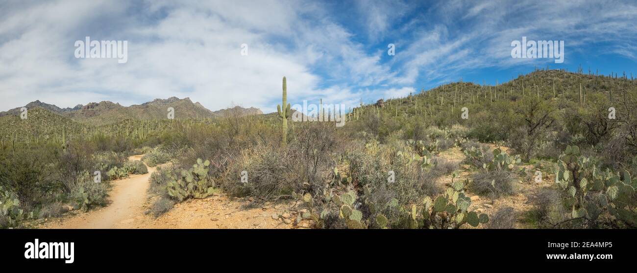 Beautiful Desert Landscape Stock Photo - Alamy