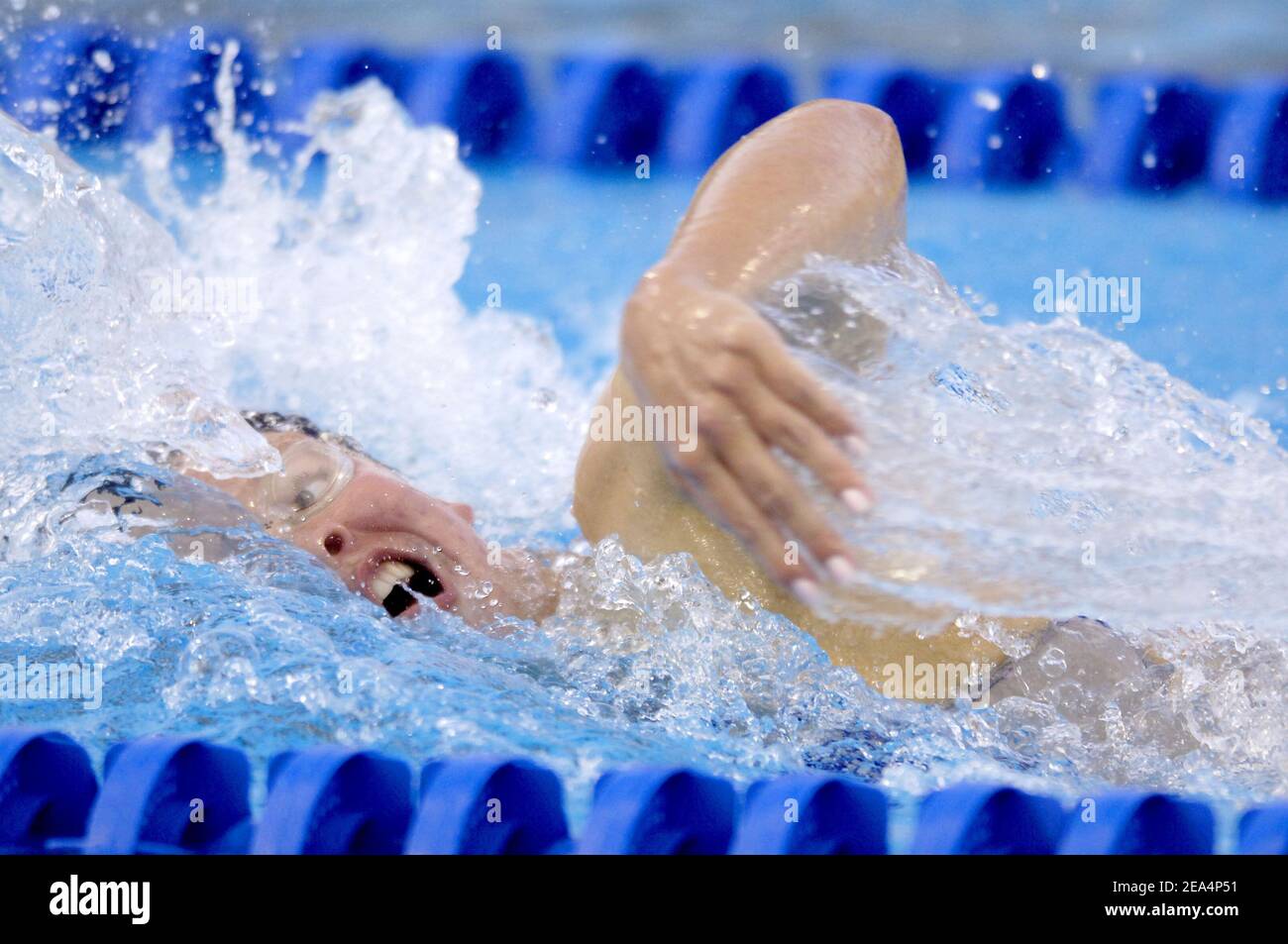 Ziegler kate hi-res stock photography and images - Alamy