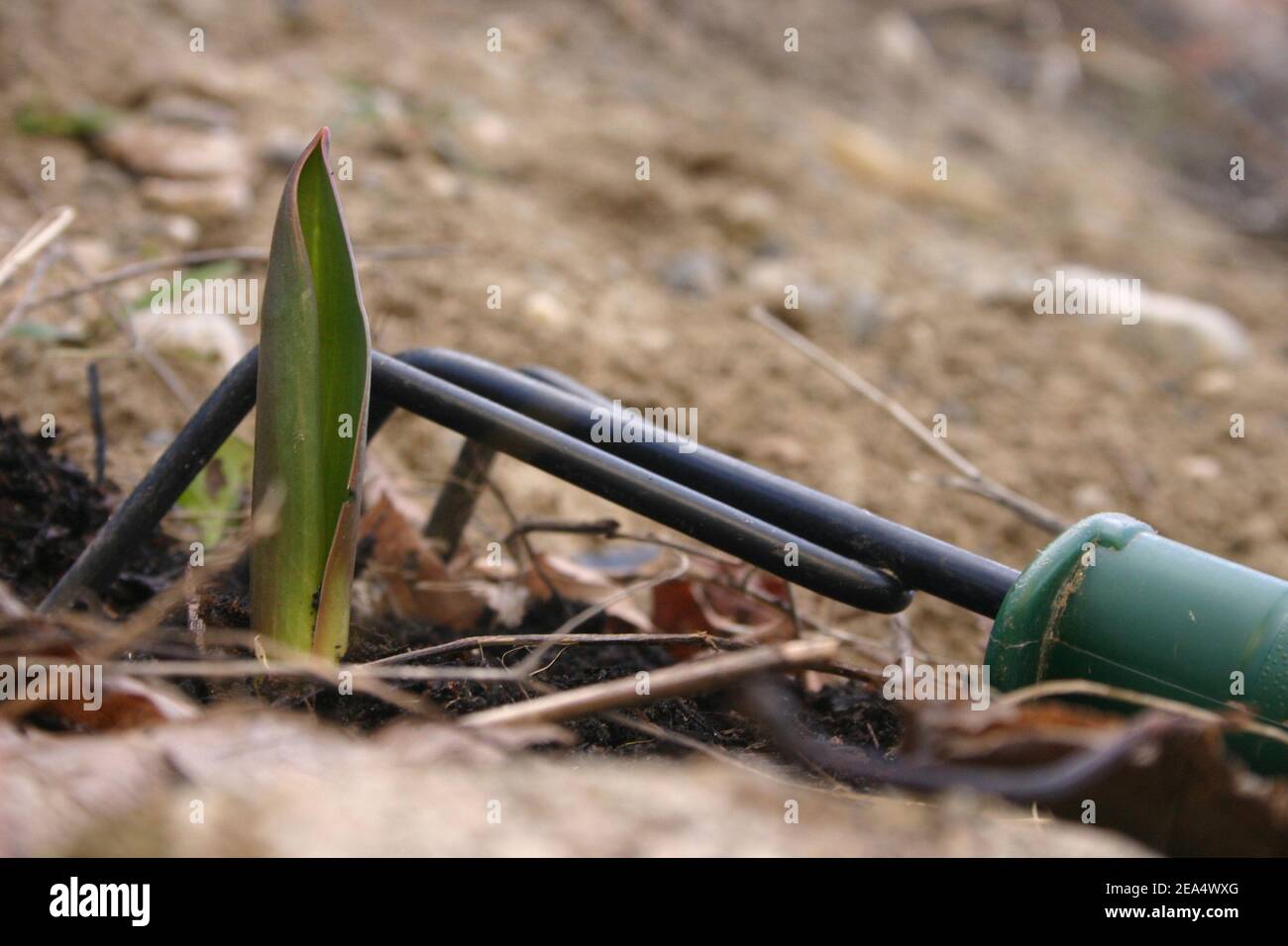 Yard work tools hi-res stock photography and images - Alamy