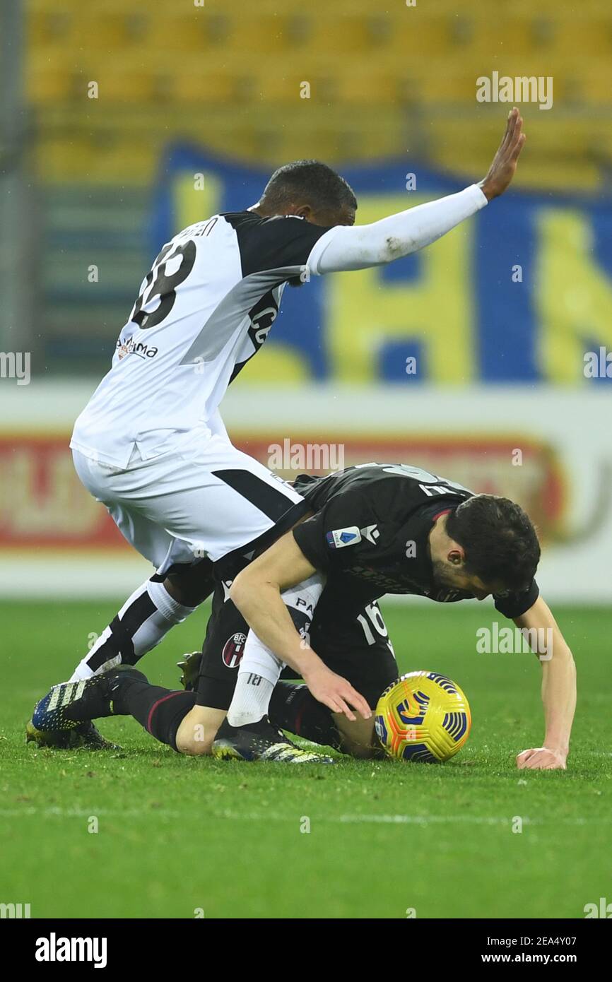 Bologna wylan hi-res stock photography and images - Alamy