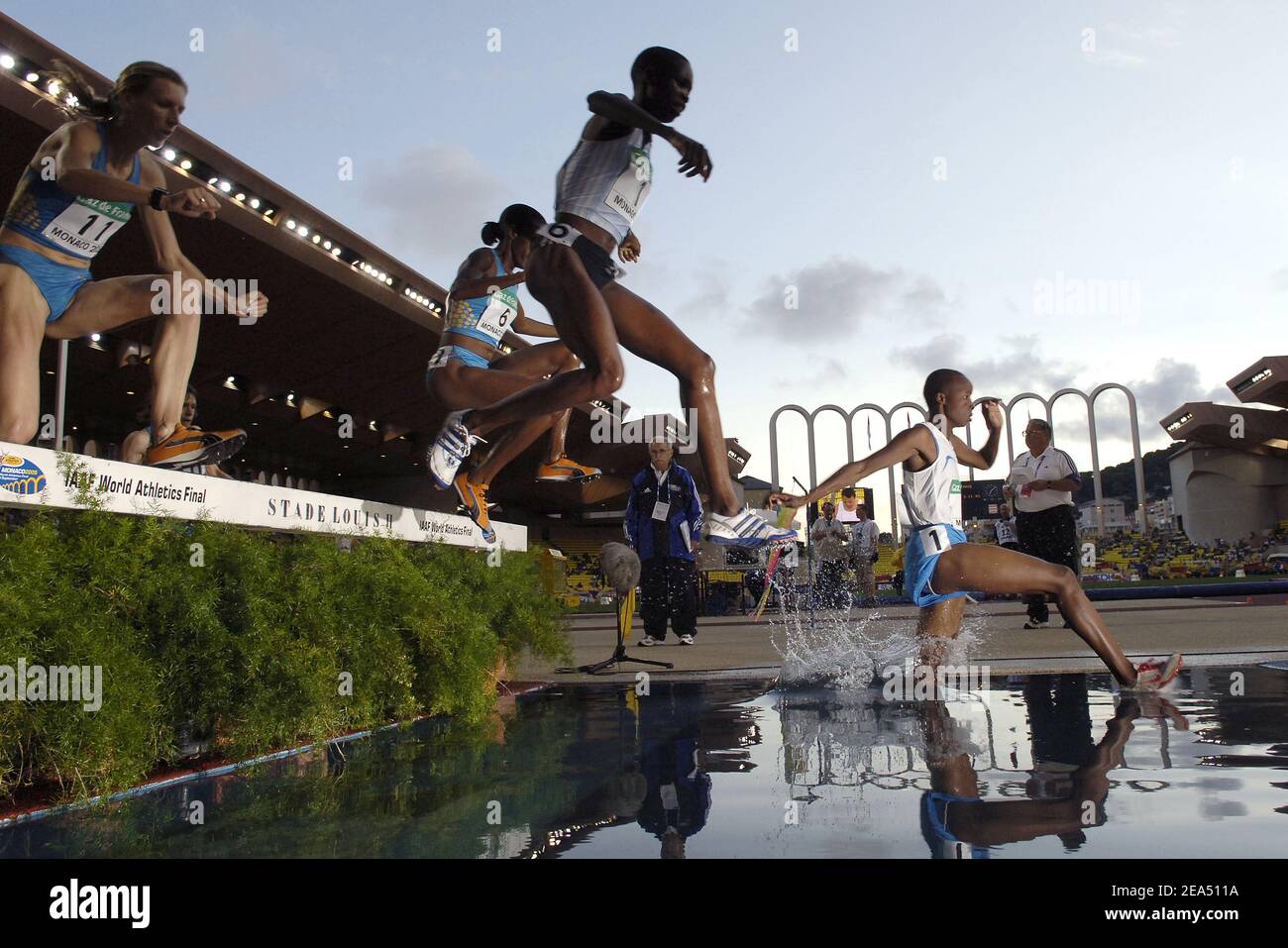 Docus inzikuru hi-res stock photography and images - Alamy