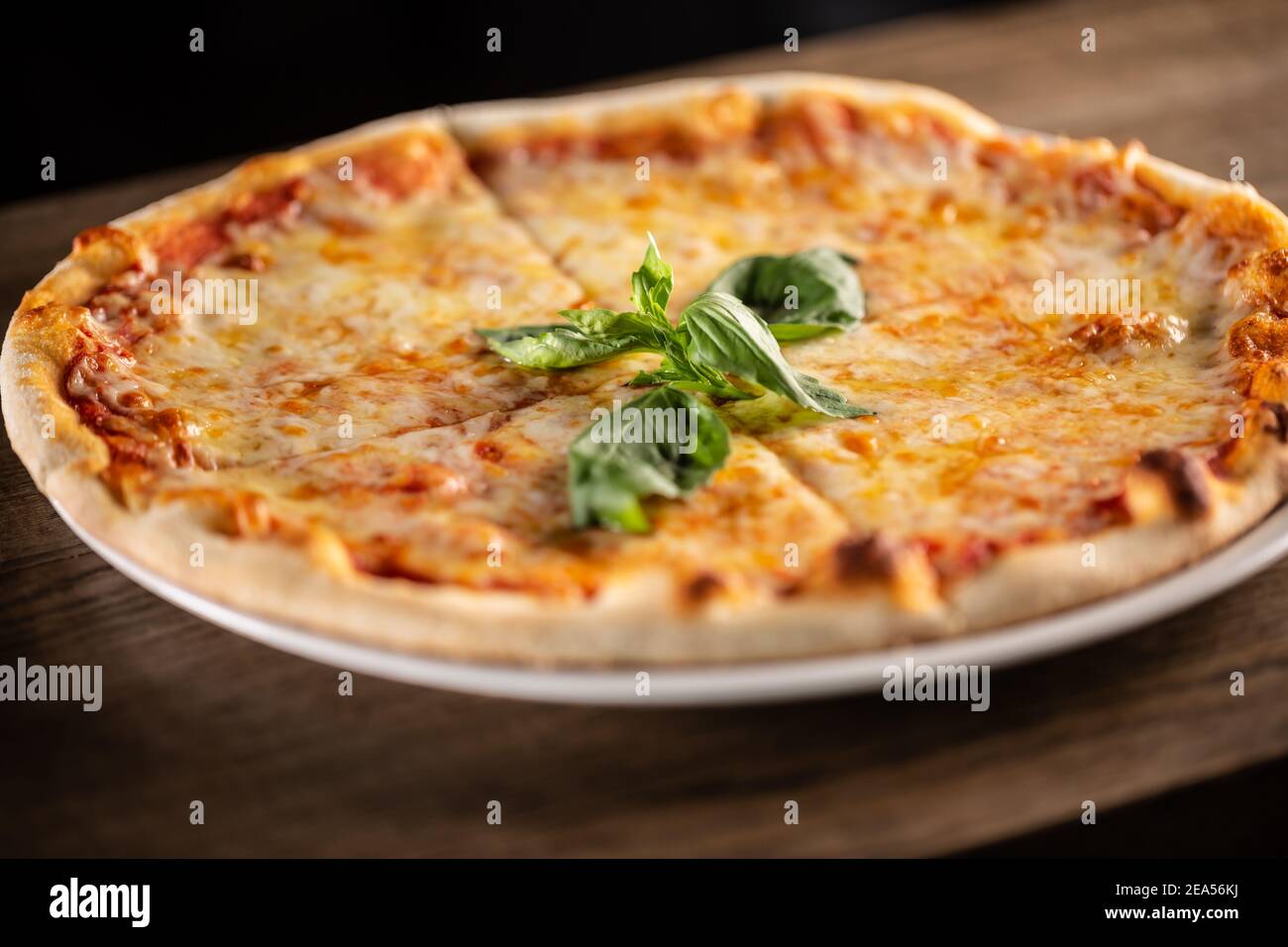Quattro formaggi pizza with four types of cheeses, crusty edges and ...