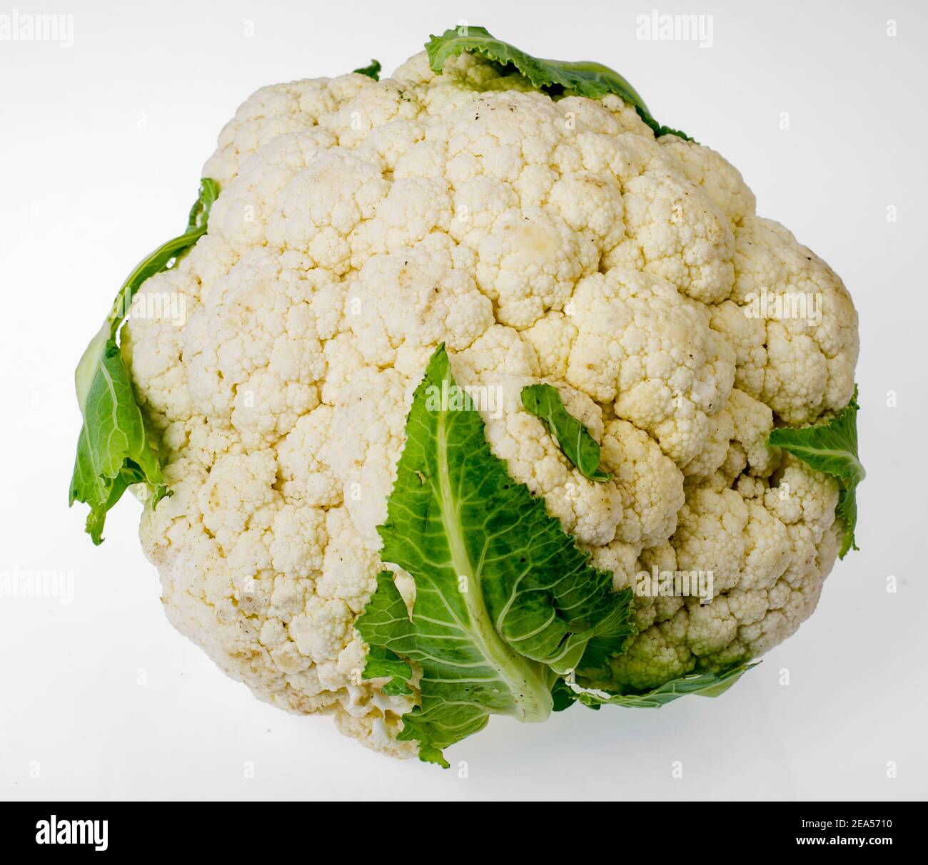 Fresh head of cauliflower on white background. Studio Photo Stock Photo ...